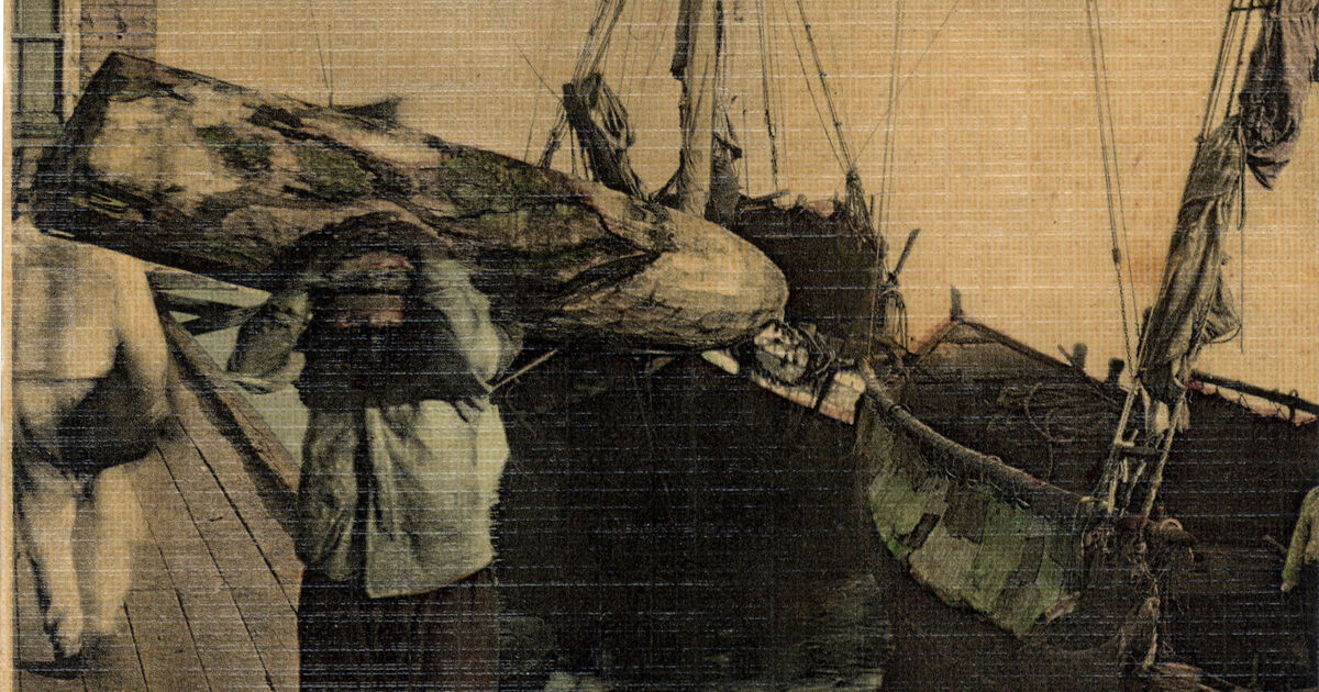 Salt Research: Samatya iskelesinde bir hamal - A porter on Samatya Pier