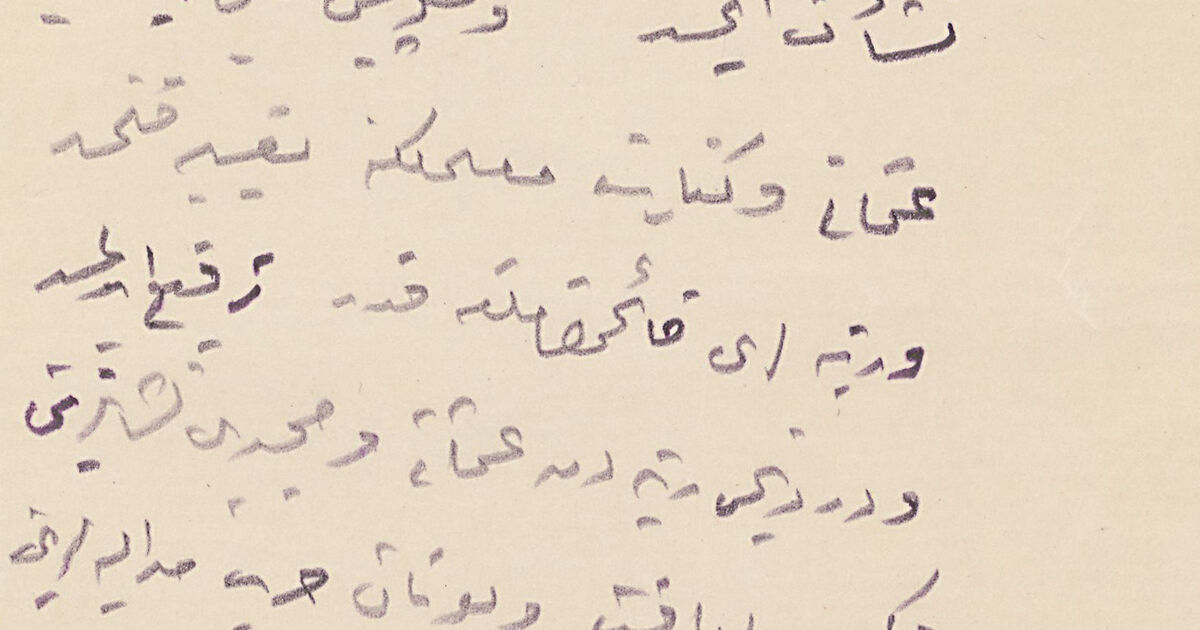 Salt Research: Ali Rıza Efendi, muallim, kaymakam.