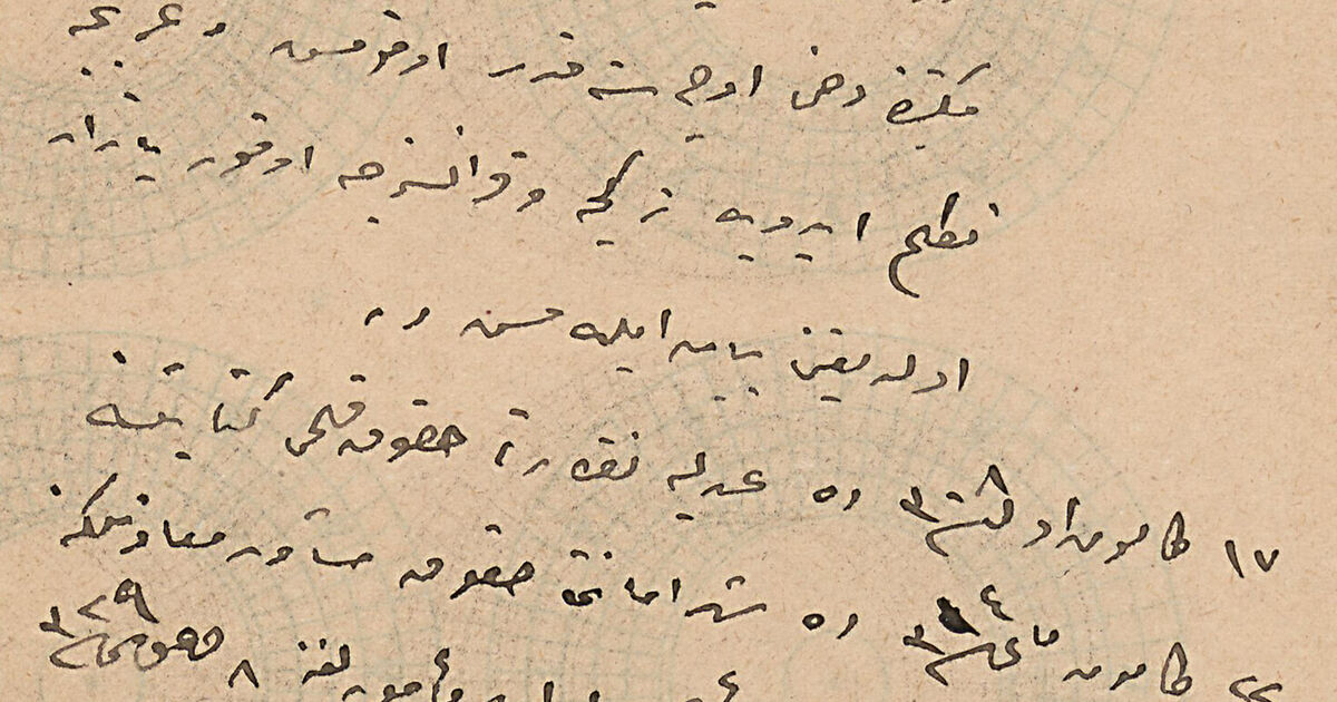 Salt Research: Ahmed Ziyaeddin Bey, müşavir muavini, memur.