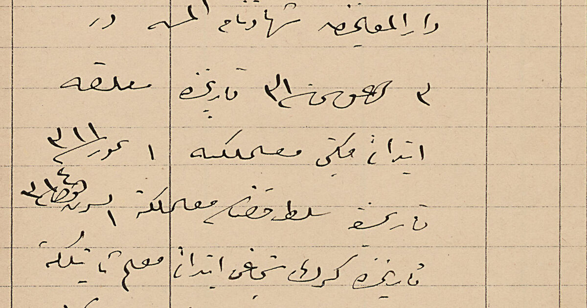 Salt Research: Abdullah Efendi (3194), muallim.