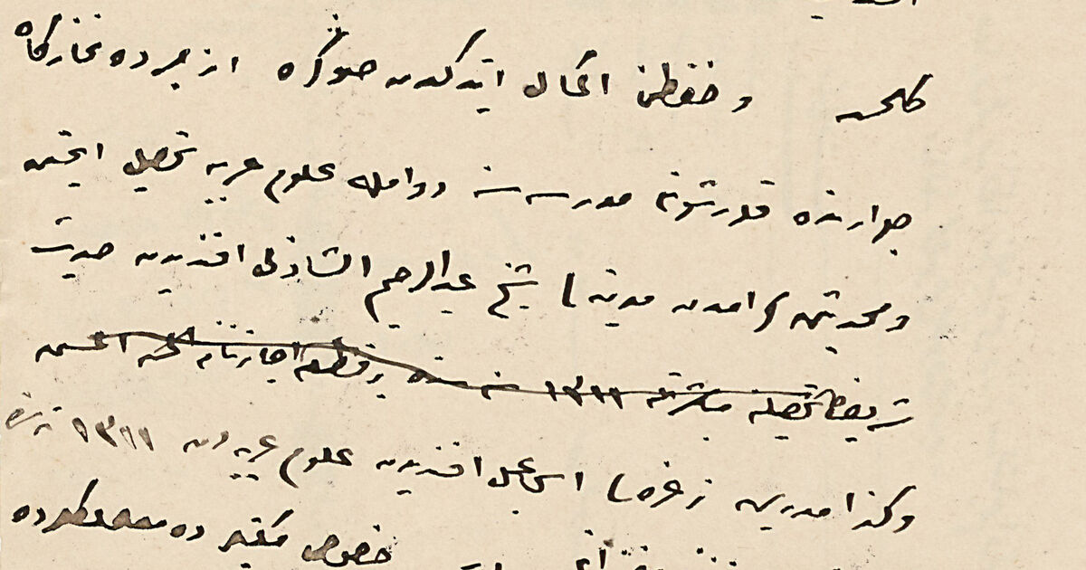Salt Research: Ali Haydar Efendi (Hafız Mehmed) (2120), muallim.