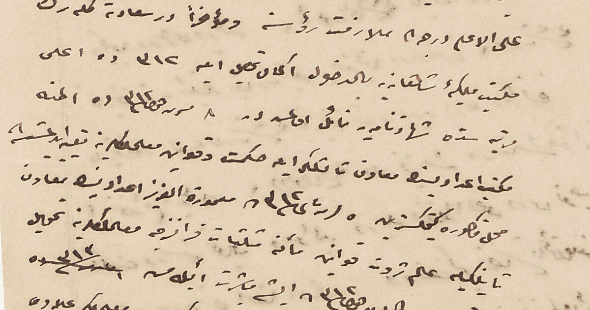 Salt Research: Edhem Efendi (İbrahim), kaymakam, müdür, muallim, muavin.