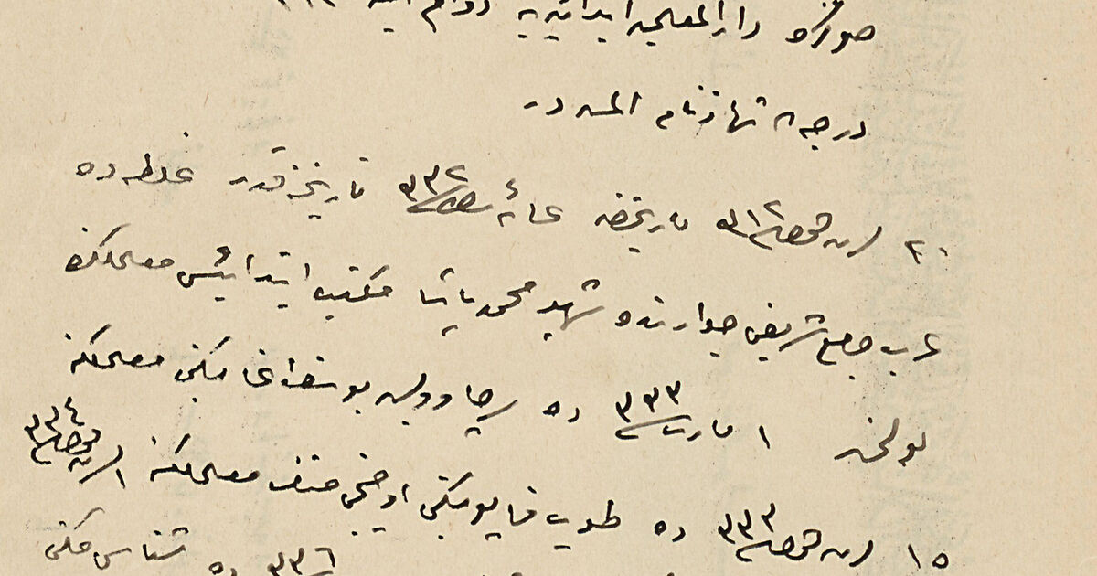 Salt Research: İbrahim Edhem Efendi (Hafız) (20594), muallim.