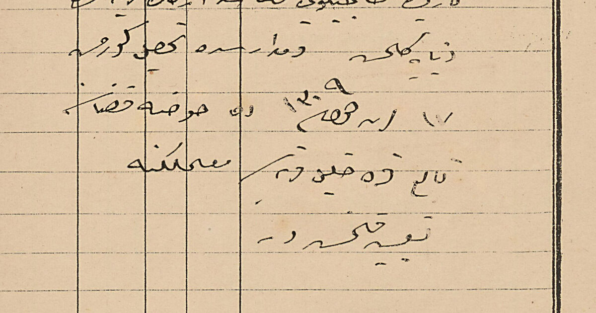 Salt Research: Mustafa Efendi (3196), muallim.