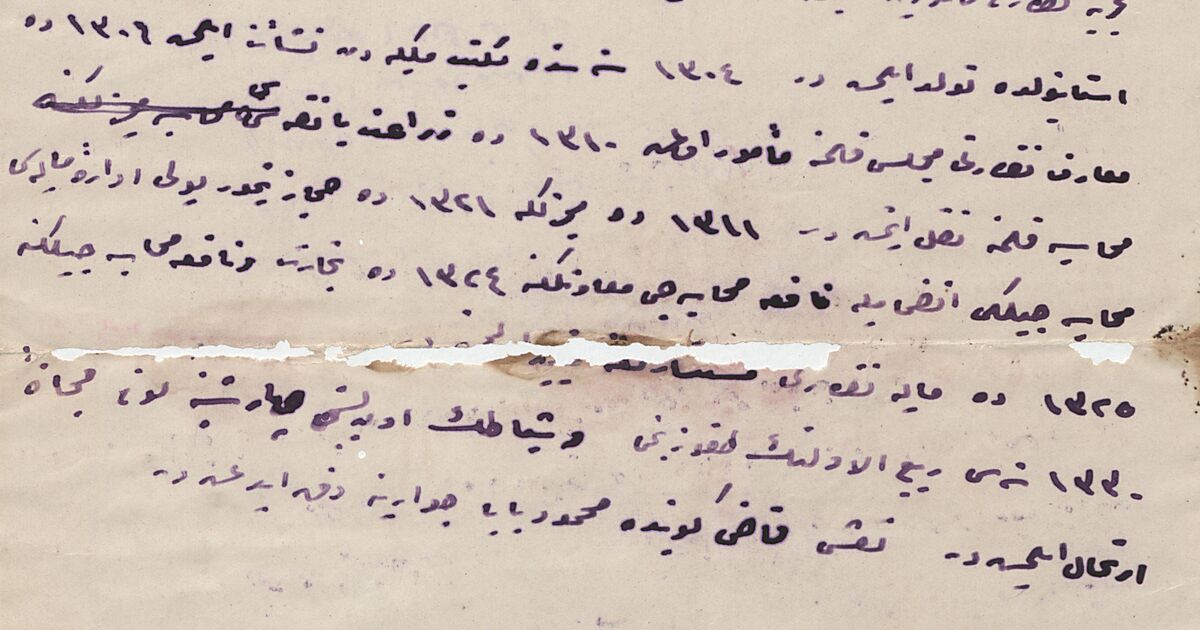 Salt Research: Reşad Bey, memur, muavin, muhasebeci.