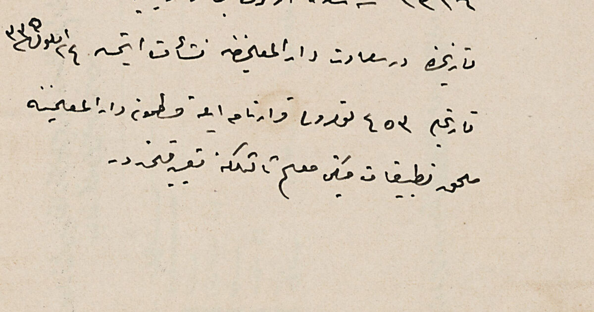 Salt Research: Mehmed Emin Efendi (20531), muallim.