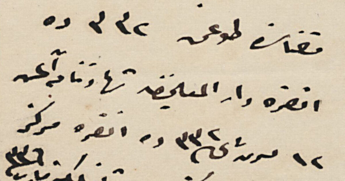 Salt Research: Muammer Efendi, muallim.