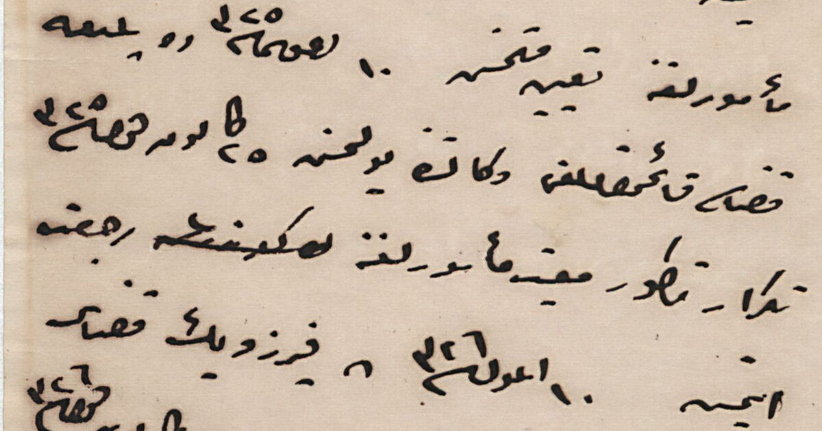 Salt Research: Mustafa Şekip Efendi, memur, kaymakam, muallim.