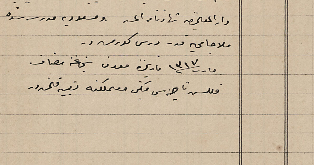 Salt Research: Ziyaeddin Efendi (Mehmed), 3447., muallim.
