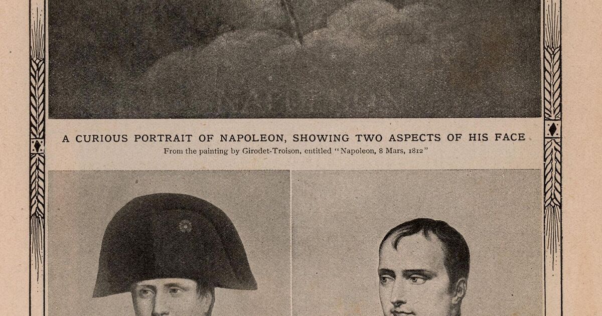 Salt Research: A curious portrait of Napoleon showing two aspects of ...