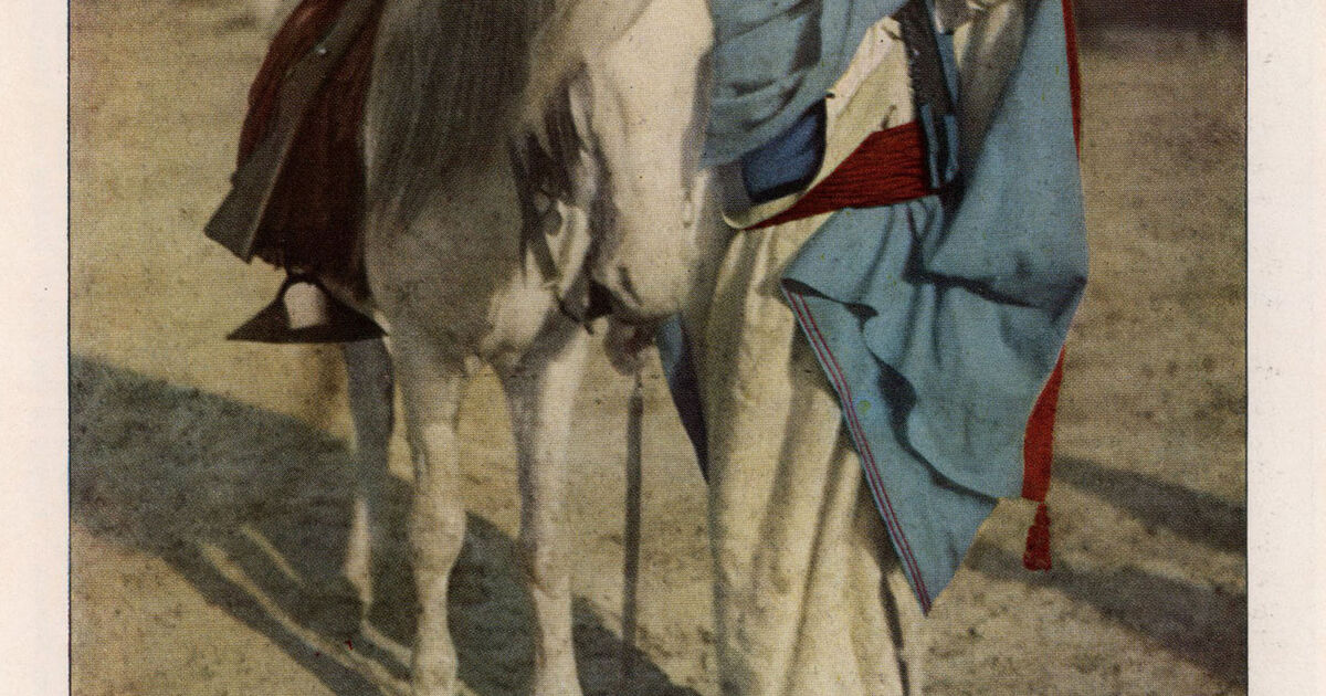 Salt Research: A spahi or native cavalryman of Tripolitania. Veiled men ...