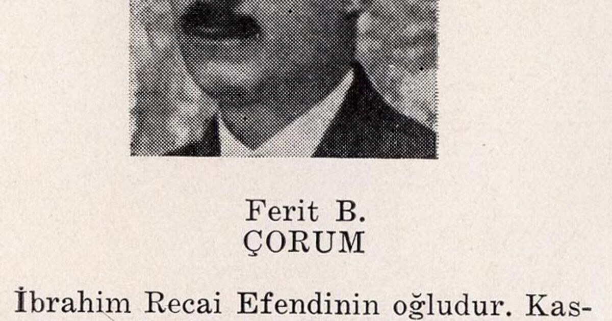 Salt Research: Çorum Milletvekili Ferit B.