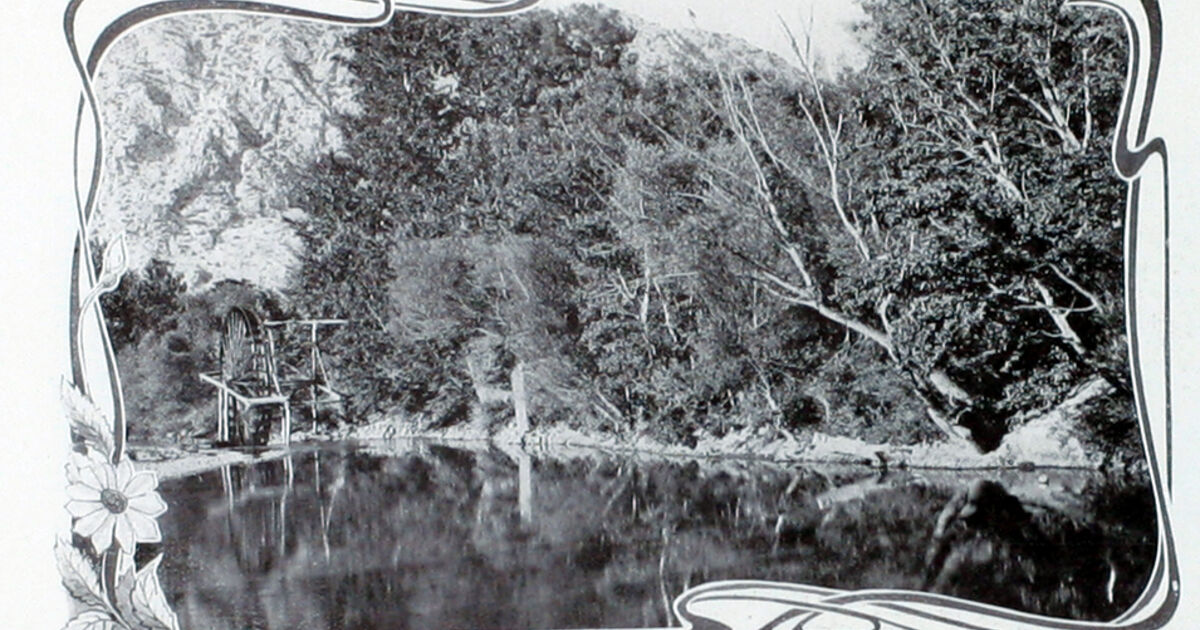 Salt Research: River Scenery on the Yeshil irmak (iris), Amassia.